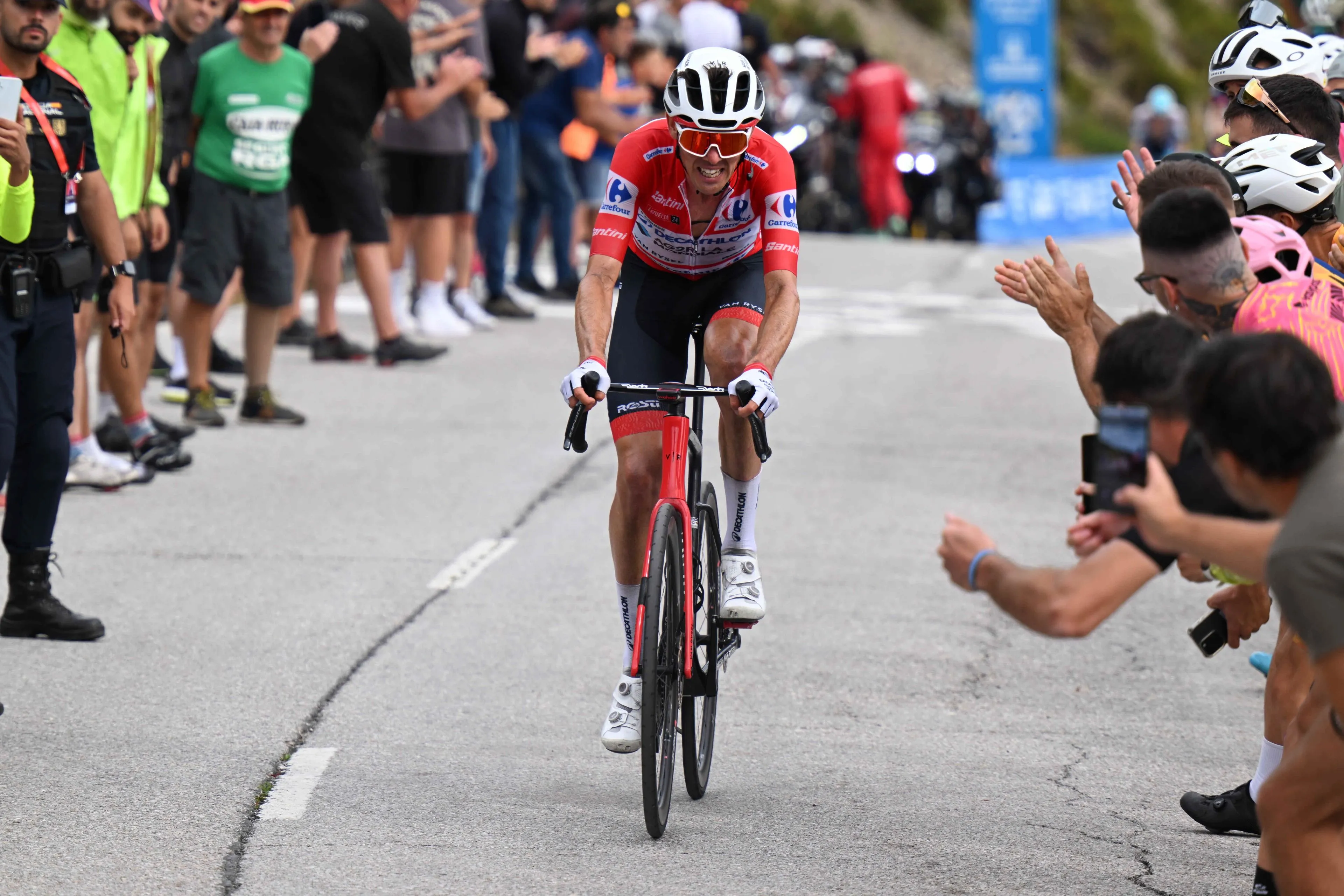 Everything about Ben O'Connor