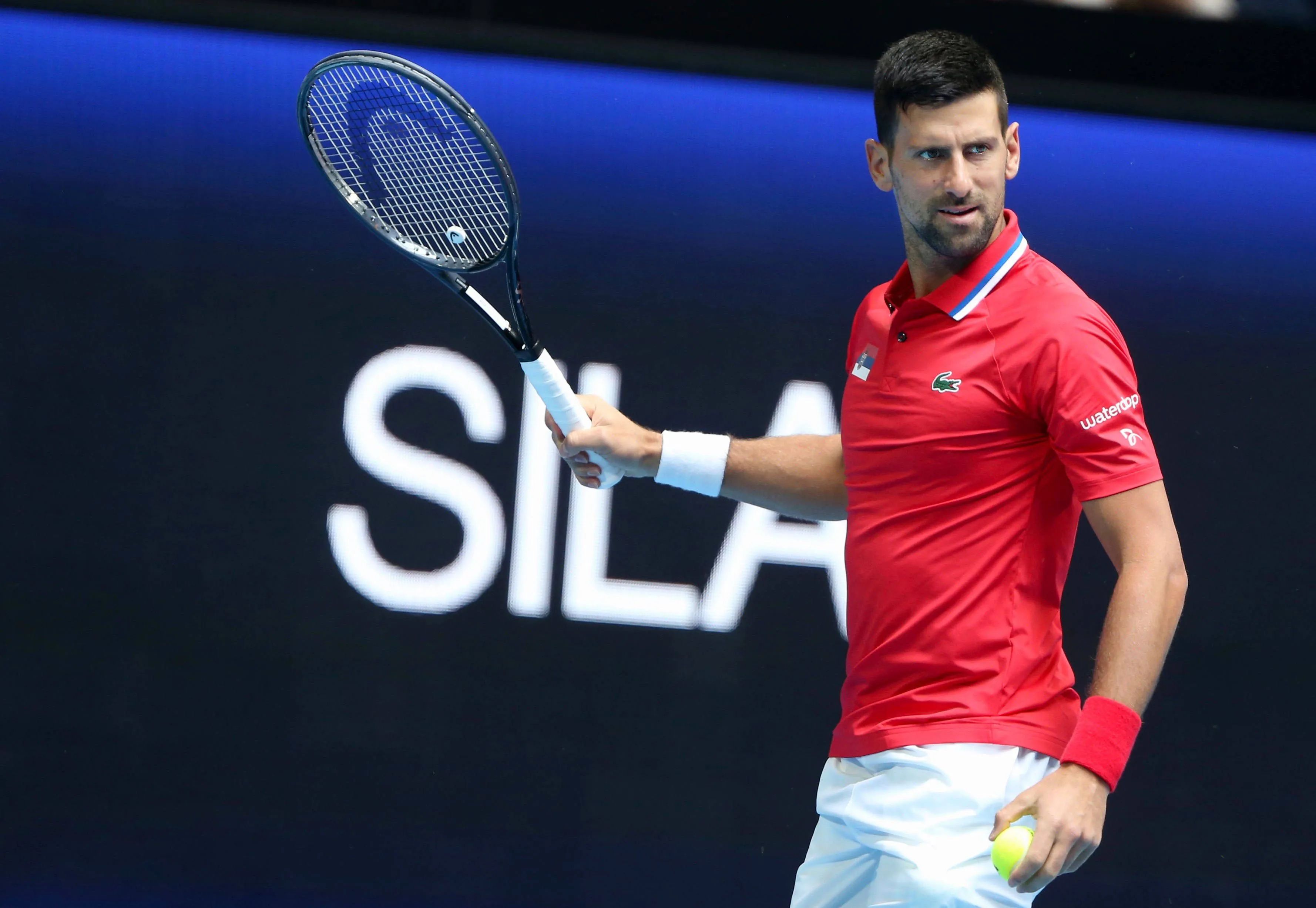 Novak Djokovic, sobre sus dolores de muñeca en la United Cup 2024 ...