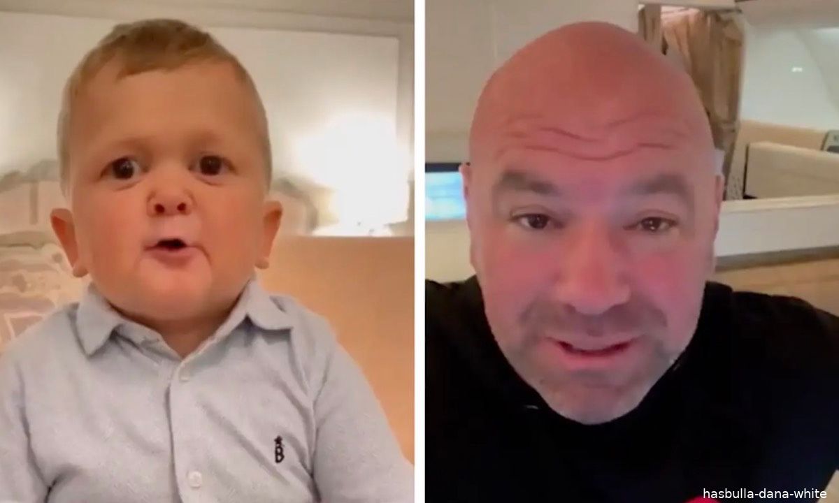 Hasbulla gaat naar de UFC!