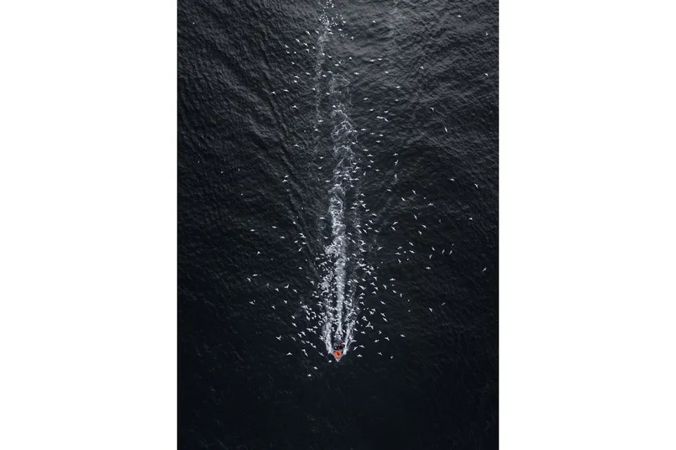 Genieten geblazen: de mooiste landschapsfoto's van 2017