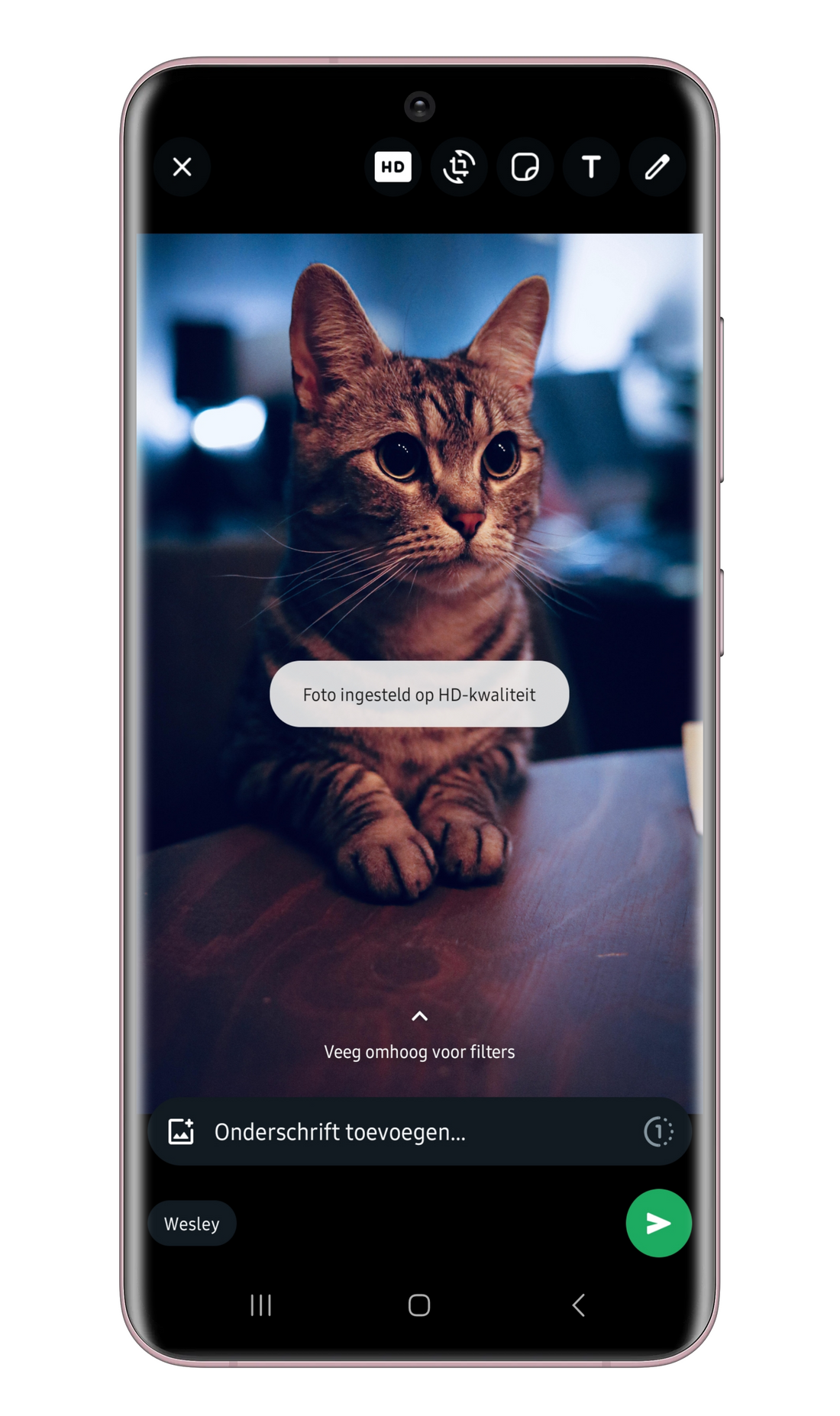 AW Basics: Zo verstuur je afbeeldingen met hoge kwaliteit op WhatsApp AW Basics: Zo verstuur je afbeeldingen met hoge kwaliteit op WhatsApp