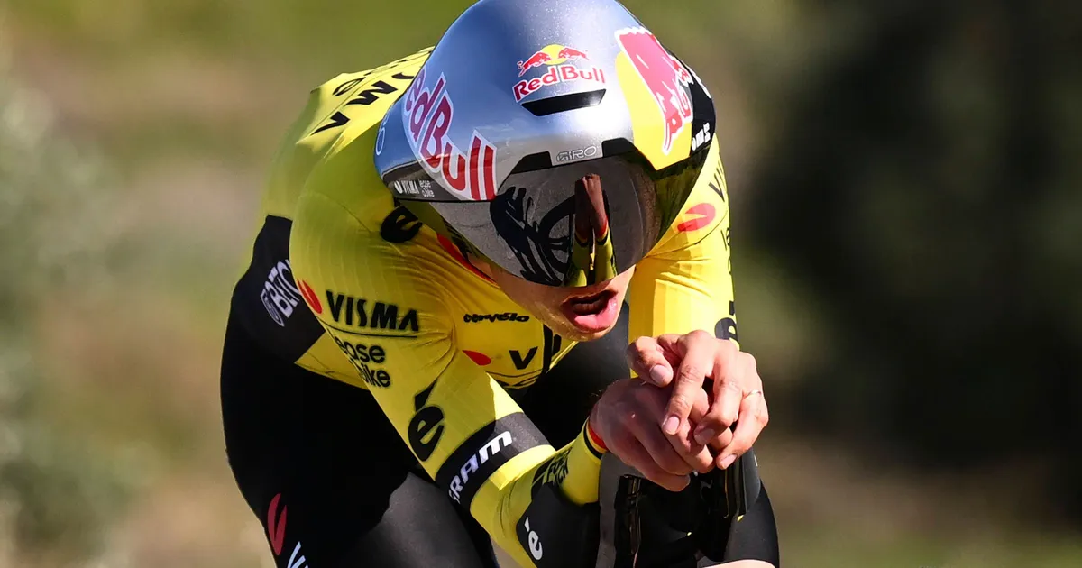 Nathan van Hooydonck confident in Wout van Aert's abilities to win this ...