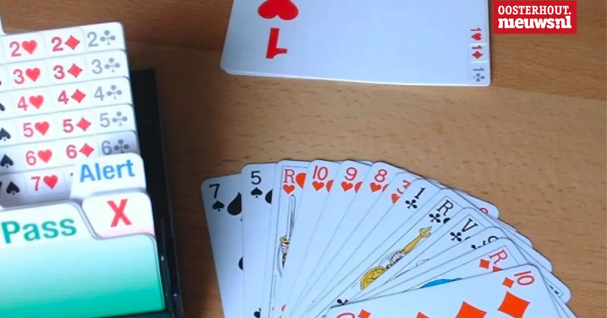 Leer stap voor stap leren bridgen tijdens cursus voor beginners