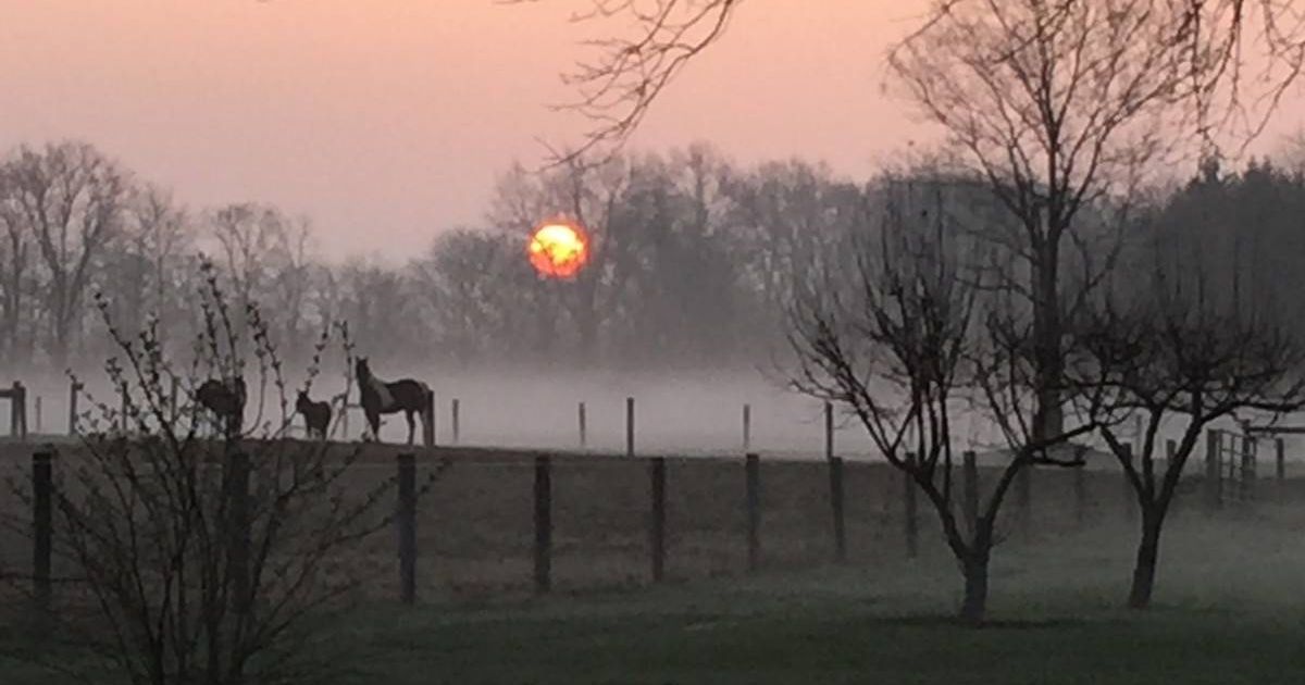 Meer bewolking, maar minder koud; zaterdagochtend eerst kans op gladheid