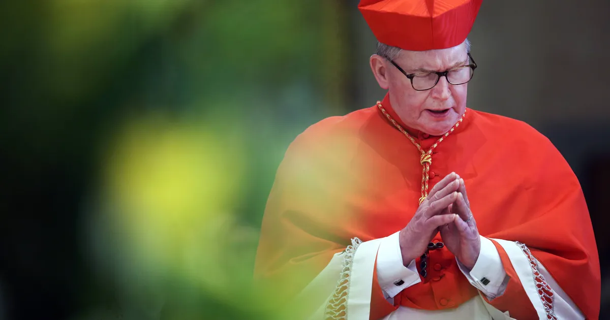 Kardinaal Willem Eijk genoemd als pauskandidaat – hoop op renaissance ...