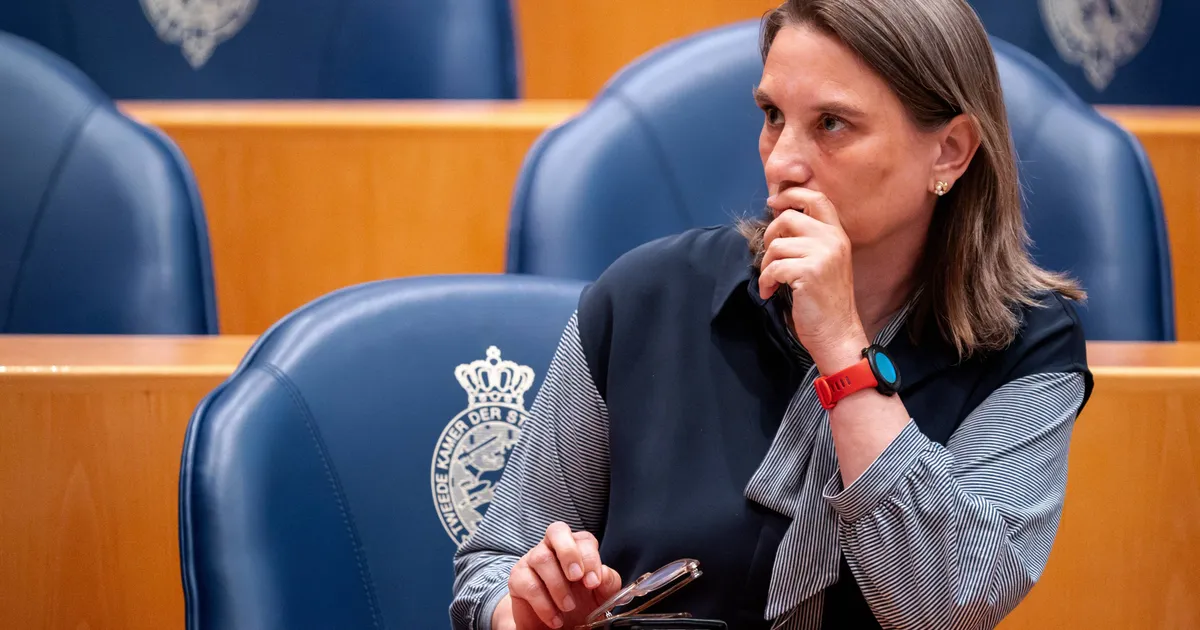 Jan Dijkgraaf haalt uit naar Laura Bromet: “Dit is levensgevaarlijk” | DDS