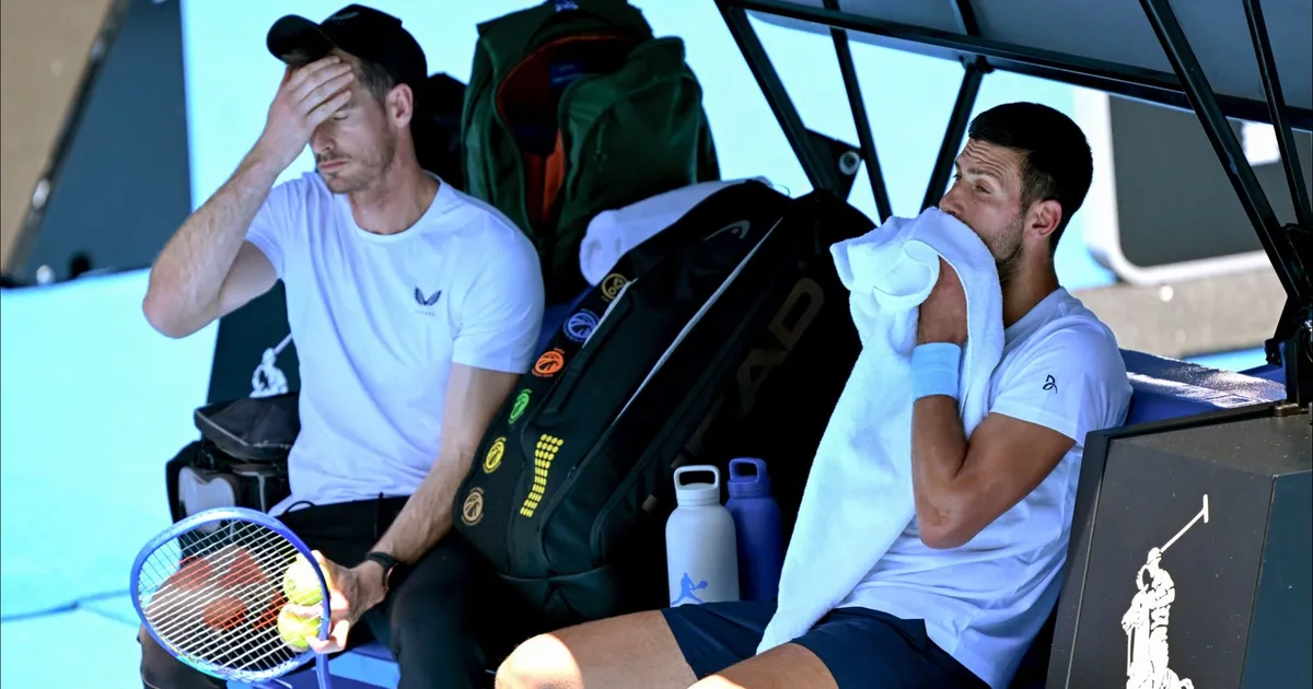 Andy Murray Okay With Novak Djokovic Shouting At Him Under One Condition