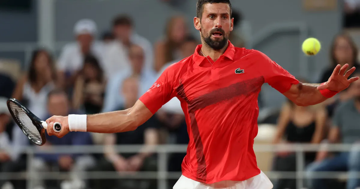Novak Djokovic continues perfect Roland Garros run, downs former ...