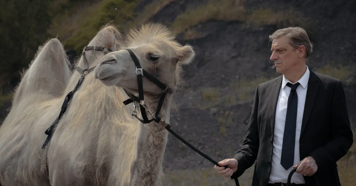 Absurde Belgische bioscoopfilm 'Waarom Wettelen?' komt binnenkort naar ...