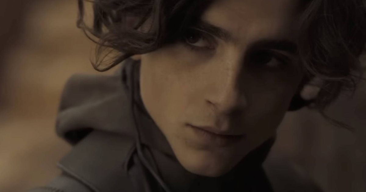 Timothée Chalamet vanaf vandaag te zien op Netflix in spectaculaire ...