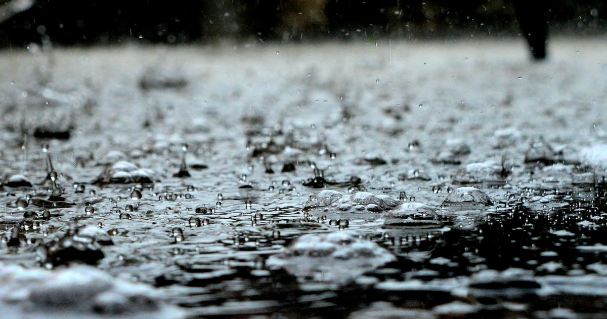 Vanaf donderdagmiddag kans op storm, zeer zware windstoten en regen