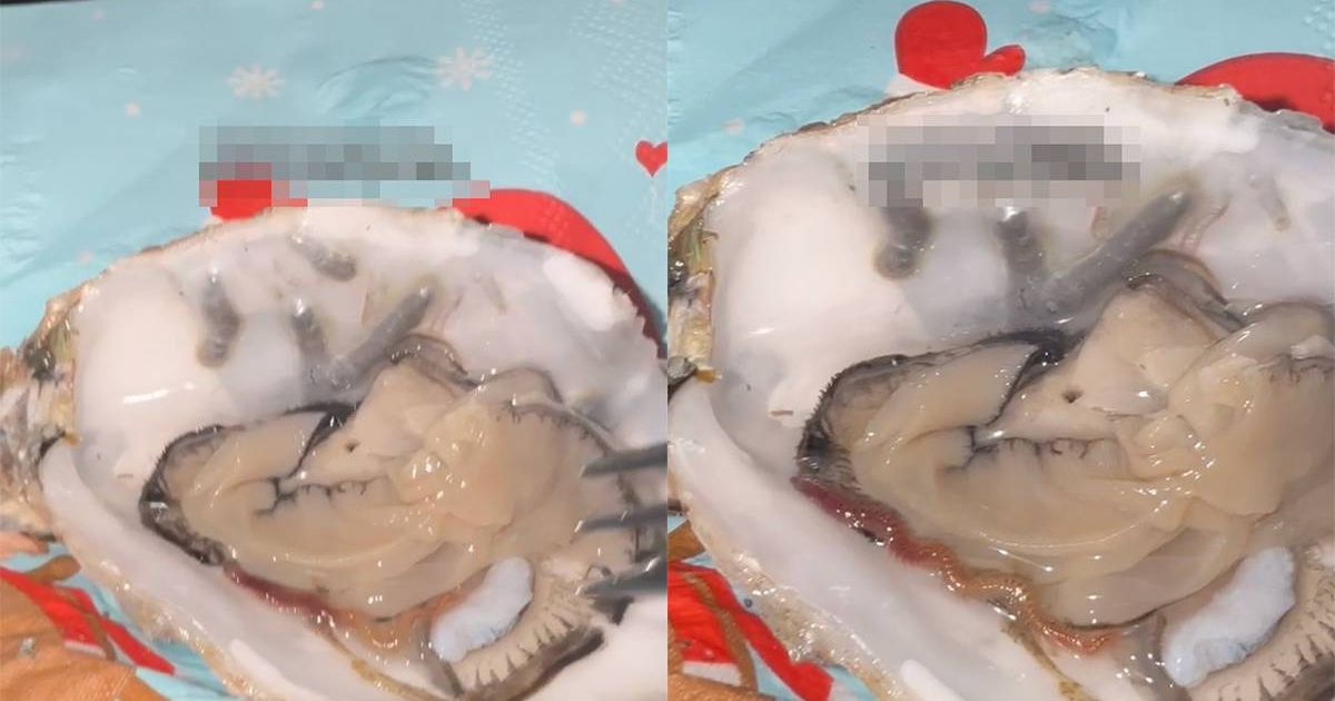 Je denkt lekker een oester te eten met kerst, tot er ineens een worm ...