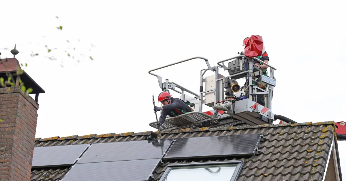 Vogel vast onder zonnepaneel: brandweer schiet te hulp in Waalwijk