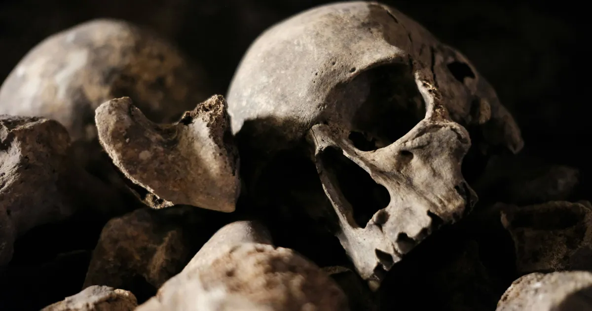 Wetenschappers vinden oudste mummies ter wereld en ze zijn duizenden ...