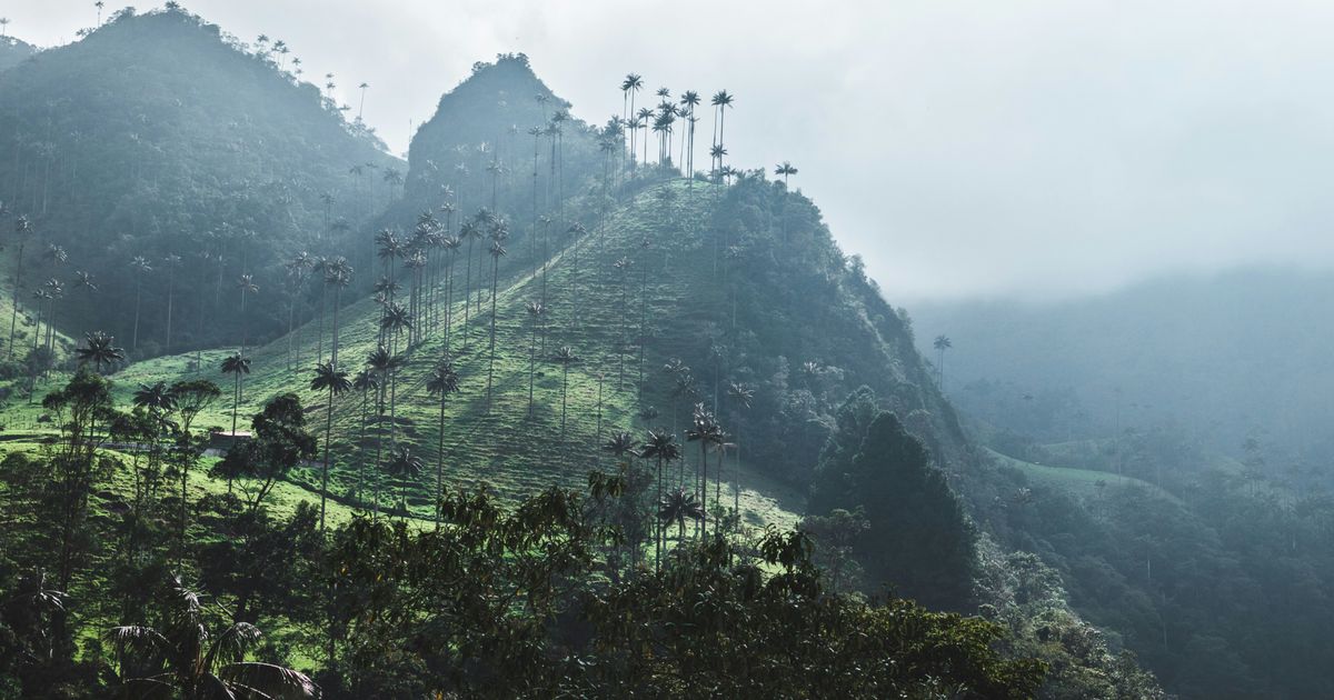 Vermiste Nederlandse Marlies (41) dood aangetroffen in Colombia na ...