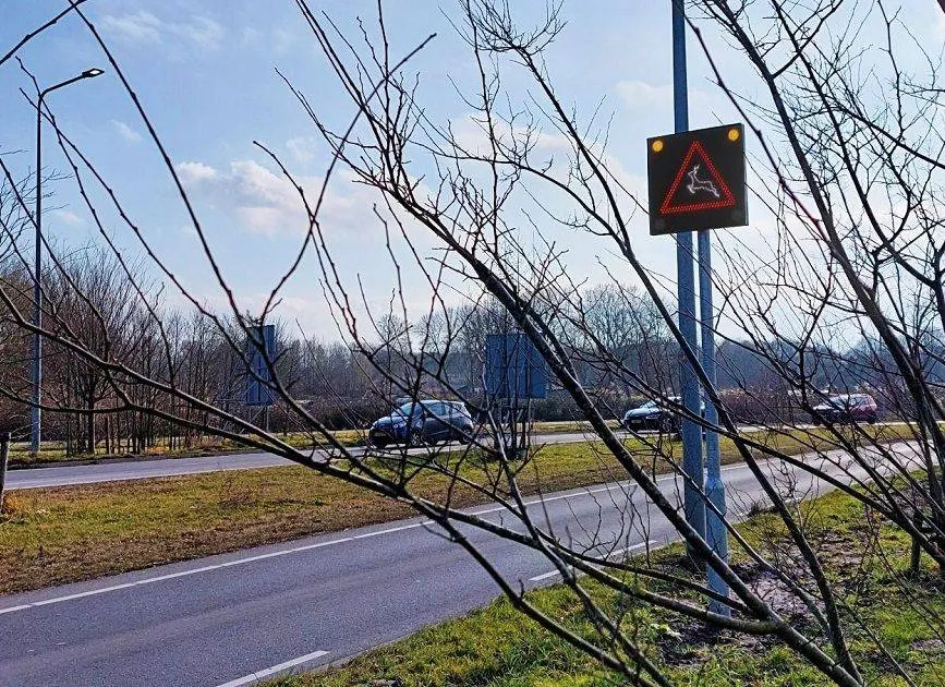 Eerste beveiligde oversteekplaats voor wilde dieren in Flevoland