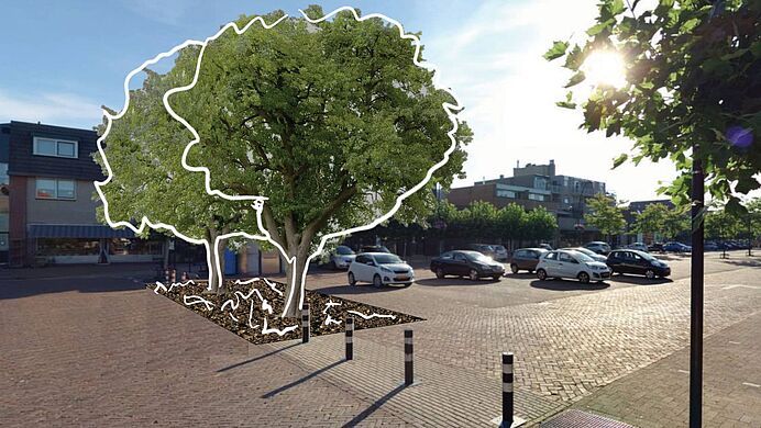 Praat mee over de toekomst van bomen