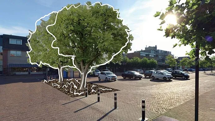 Praat mee over de toekomst van bomen