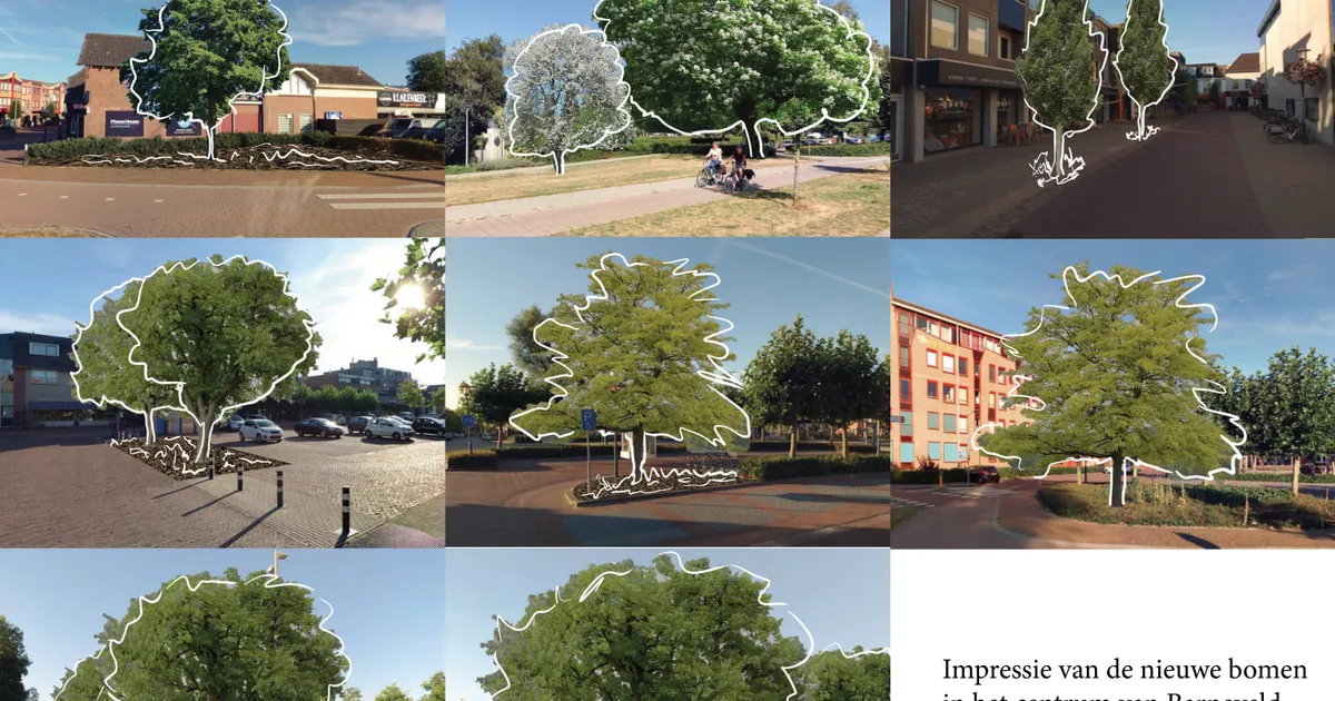 Locaties 24 nieuwe bomen centrum Barneveld bekend