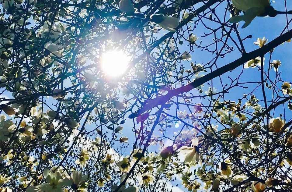 Uv-straling zon nog nooit zo schadelijk geweest