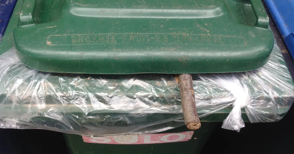 Gft-afval in de zomer