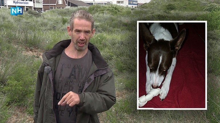 Hond Maya na 12 dagen teruggevonden bij Landgoed Beeckestein