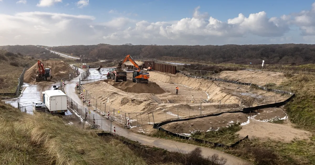 Elektriciteitskabels TenneT ingetrokken voor aansluiting windpark ...