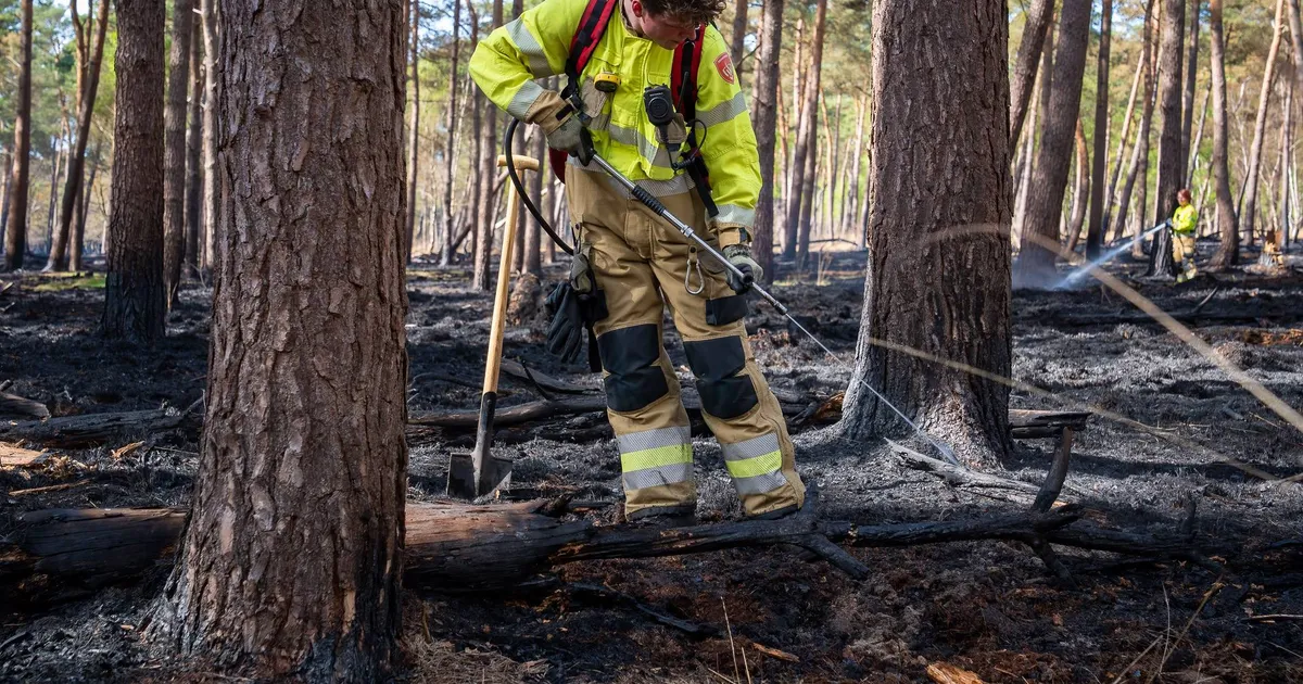 Hotspots dwingen brandweer tot nieuwe inzet in natuurgebied Loonse en ...