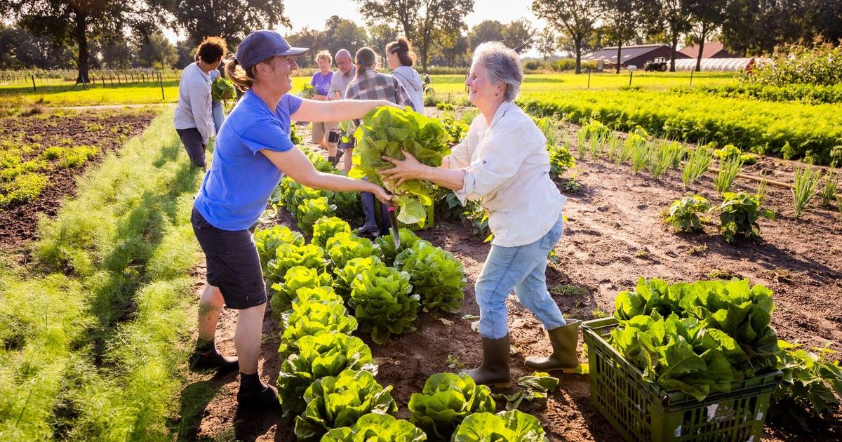Open Dag Herenboerderij Op ’t Lies (Breda) op 10 mei