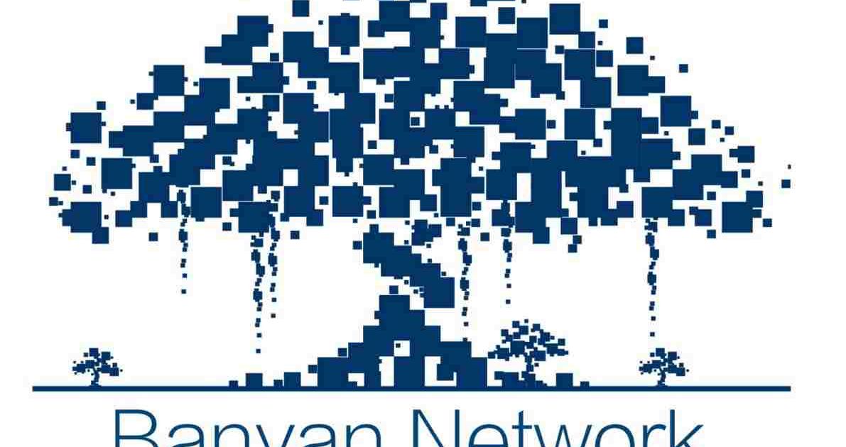 Banyan Network Coin review