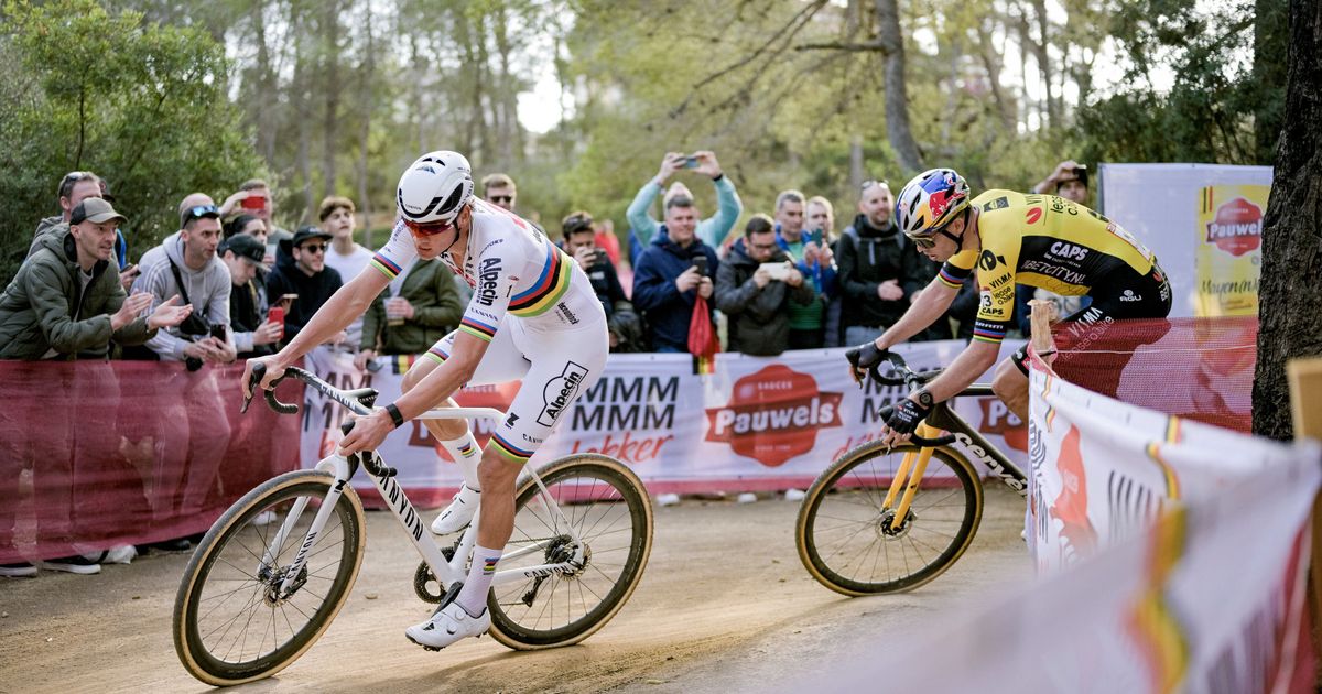 Mathieu van der Poel and Wout van Aert face off today! 'Big 2' have ...