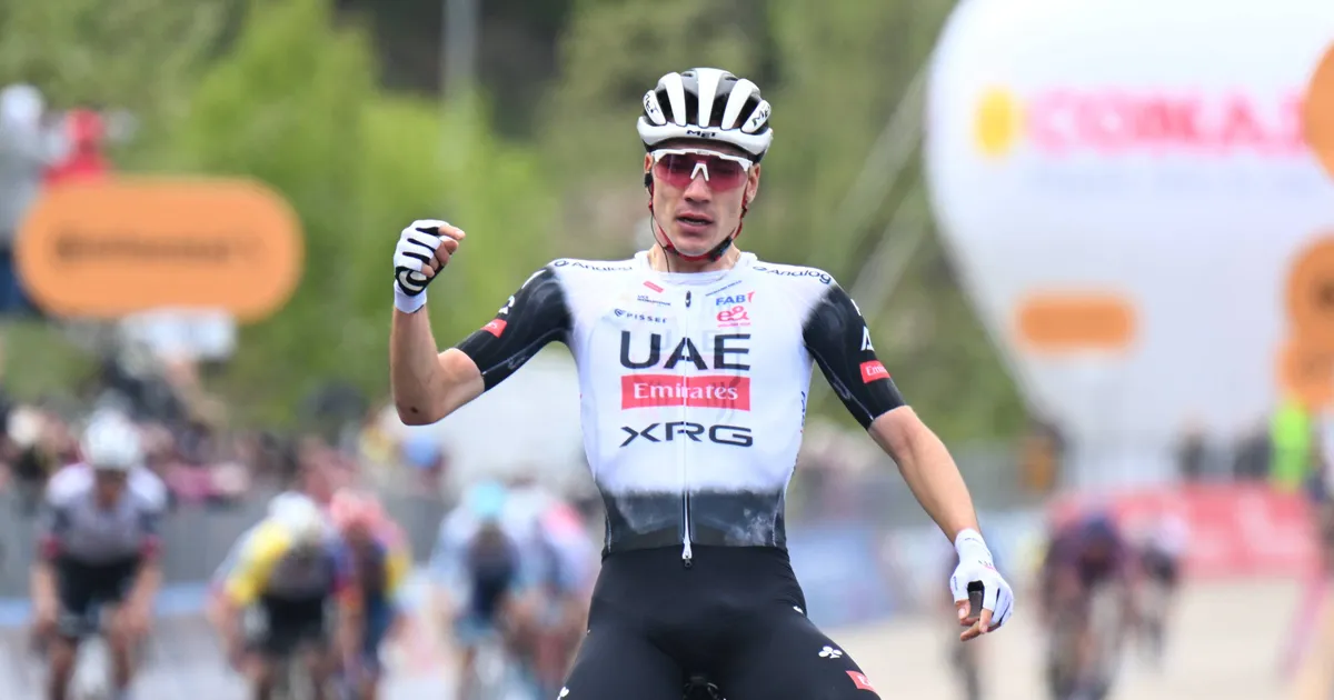 Courtney clenney only fans porn they switched off on oral