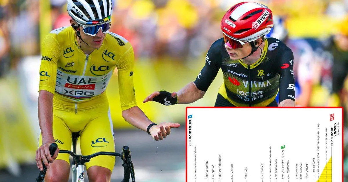 PREVIEW | Tour de France 2025 stage 16 - After Hautacam, can Tadej ...