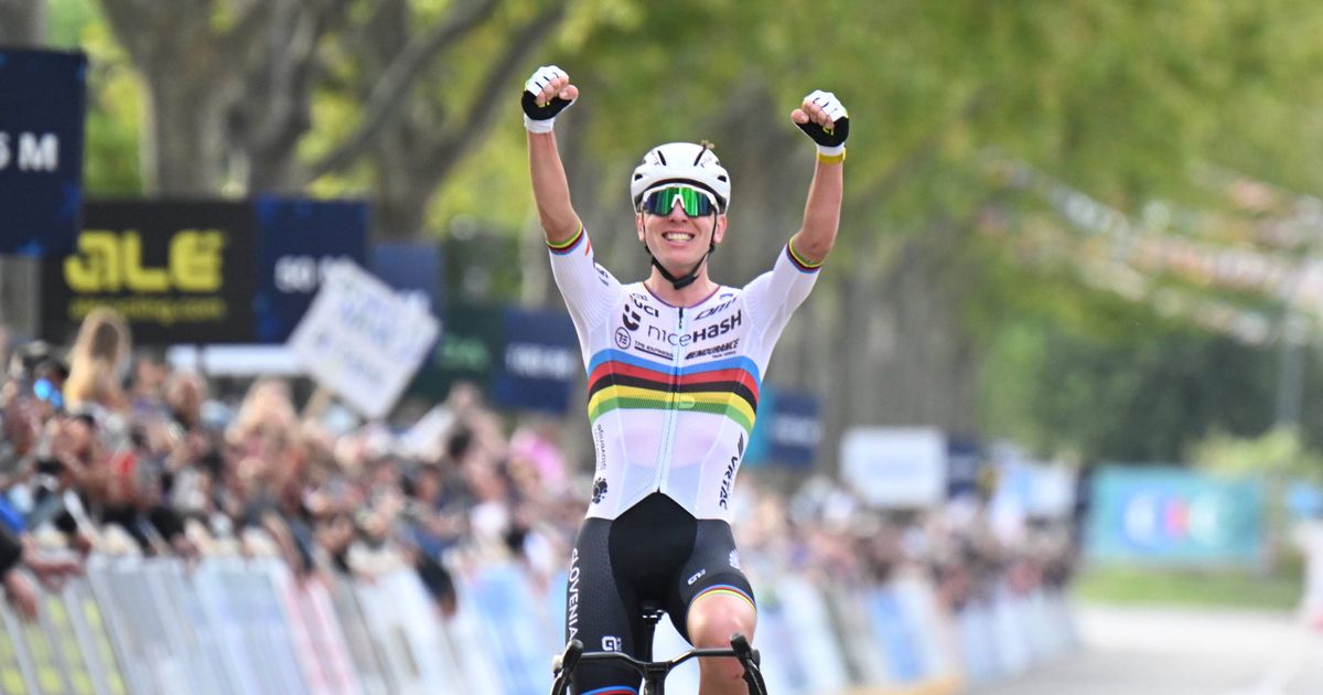 DISCUSSION European Championships Men's Road Race | Did Belgium's ...