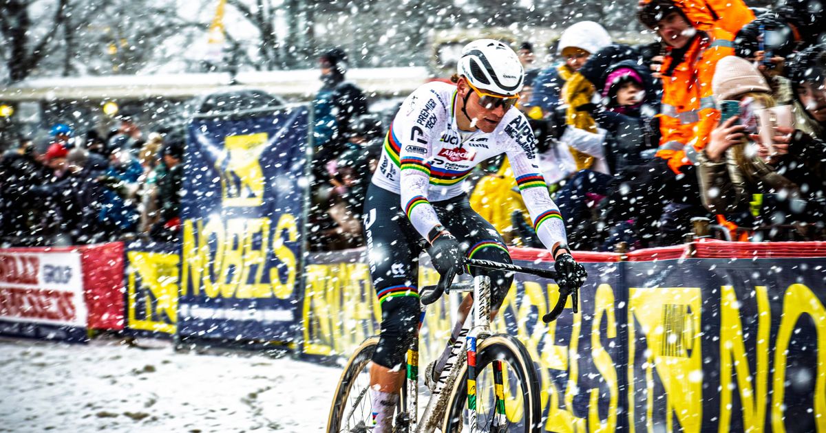 “Para o bater, o que é que tens de fazer? Vais levar um choque” Jeroen ...