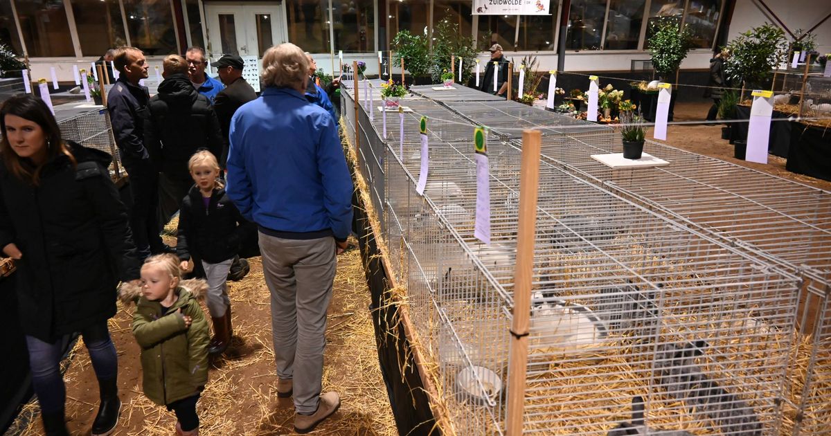 Foto's: Laatste tentoonstelling van Pels en Pluim in Zuidwolde