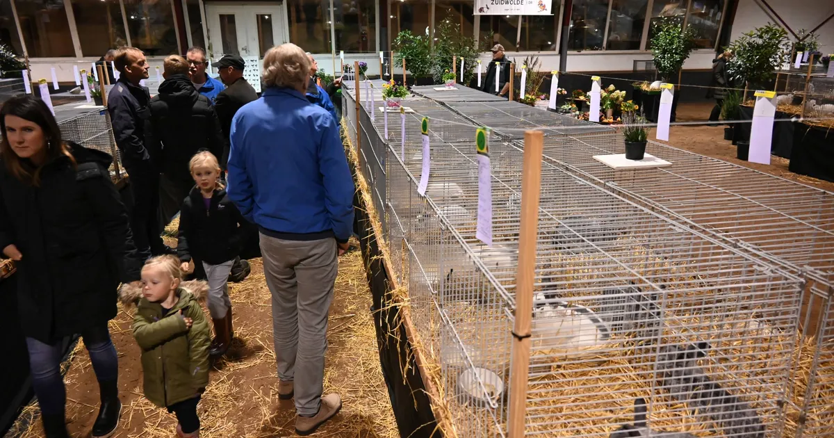 Foto's: Laatste tentoonstelling van Pels en Pluim in Zuidwolde
