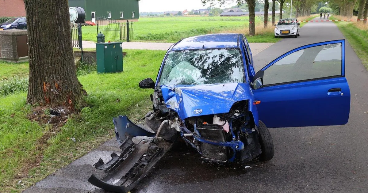 Automobilist zwaargewond bij frontale botsing op boom