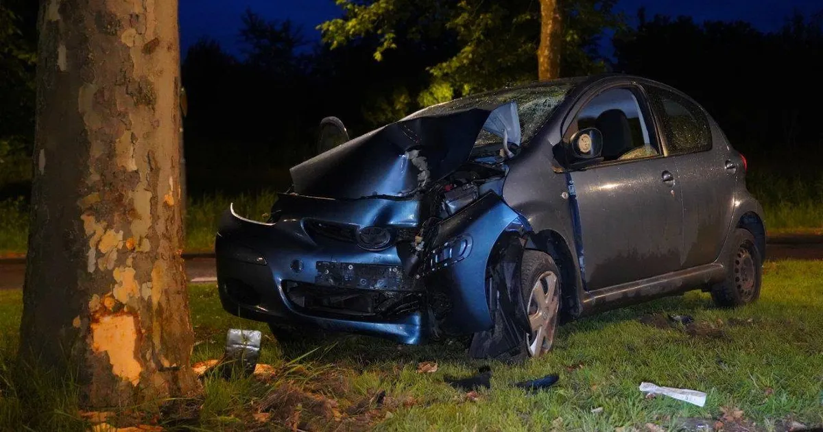 Vrouw zwaargewond bij botsing tegen boom