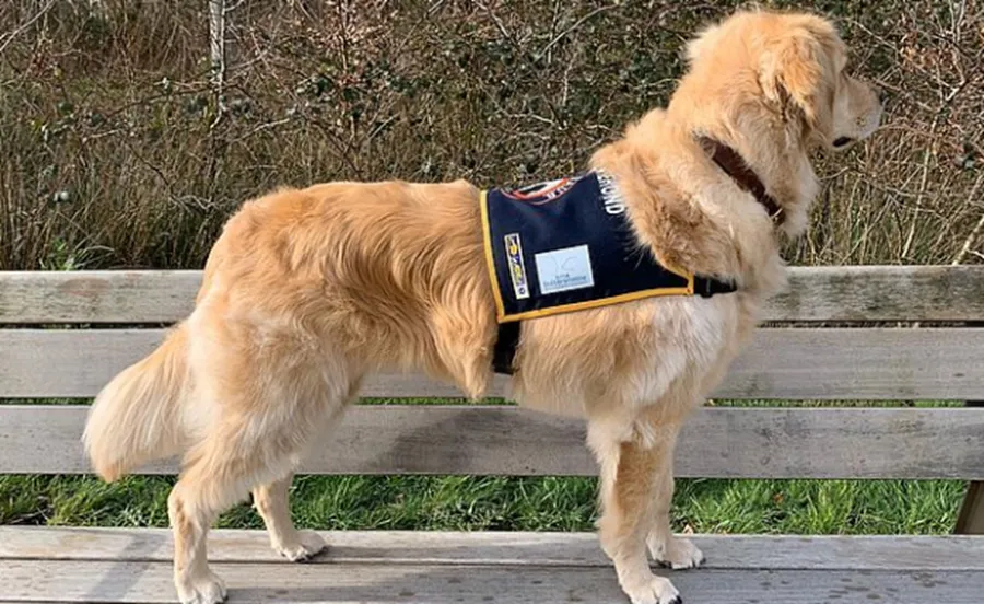 Lynne start crowdfunding voor assistentiehond