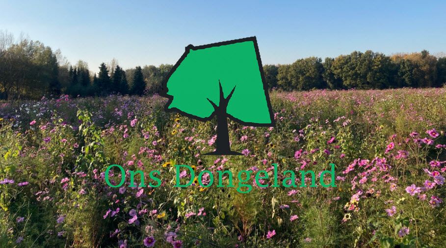 Stichting Ons Dongeland werkt aan groener Dongen: ‘Natuur maak je samen’
