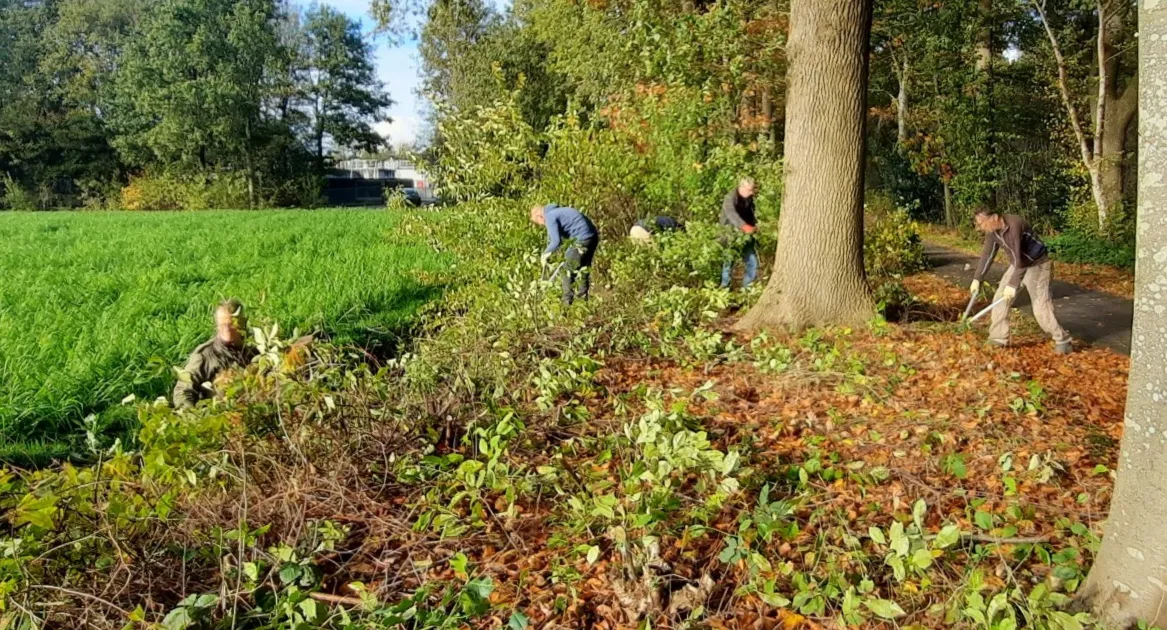 Handen uit de mouwen in het Kyllotsbos