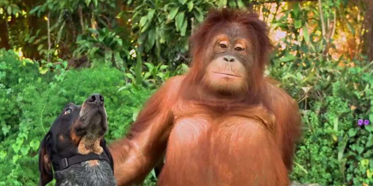 Nieuwe Android commercial 'Friends furever' is wat je noemt 'cute'