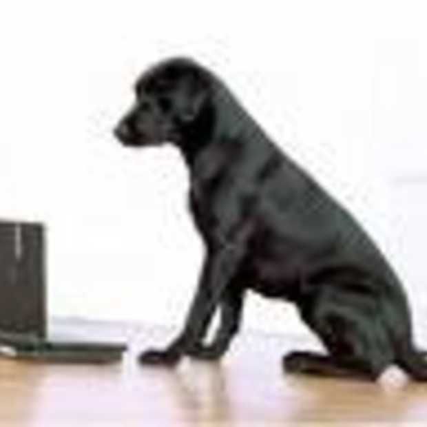 Lycos Europe over en uit