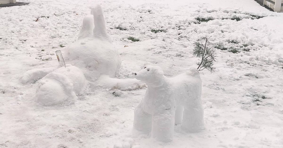 Het sneeuwt! Dit zijn de leukste tweets en tips over het winterweer