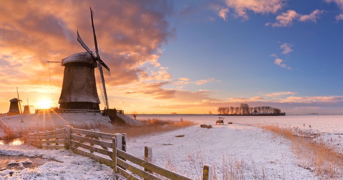 Nederland zoekt massaal naar sneeuw - dit gebeurt er online