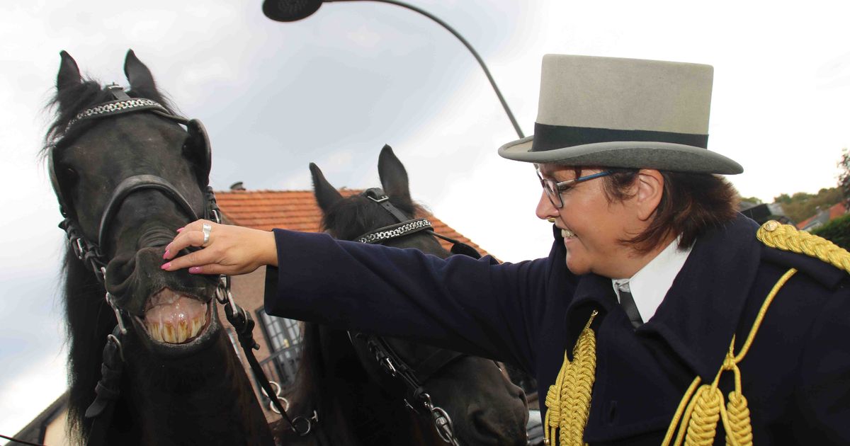 Friese paarden stelen de show bij Open Monumentendag Ermelo