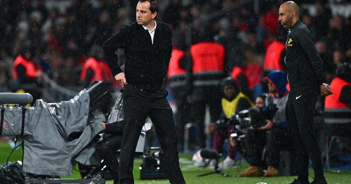Rennes : Le patron se fâche, Stéphan est en grand danger