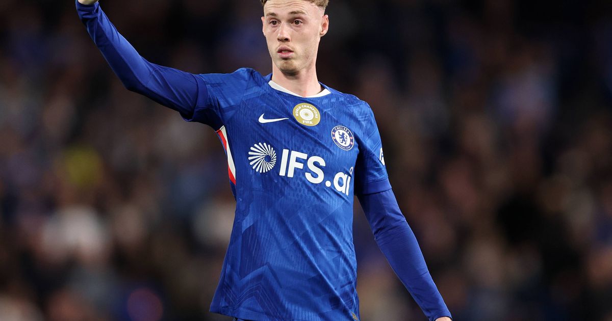 Chelsea interim McFarlane confirms Palmer and Joao Pedro could return ...