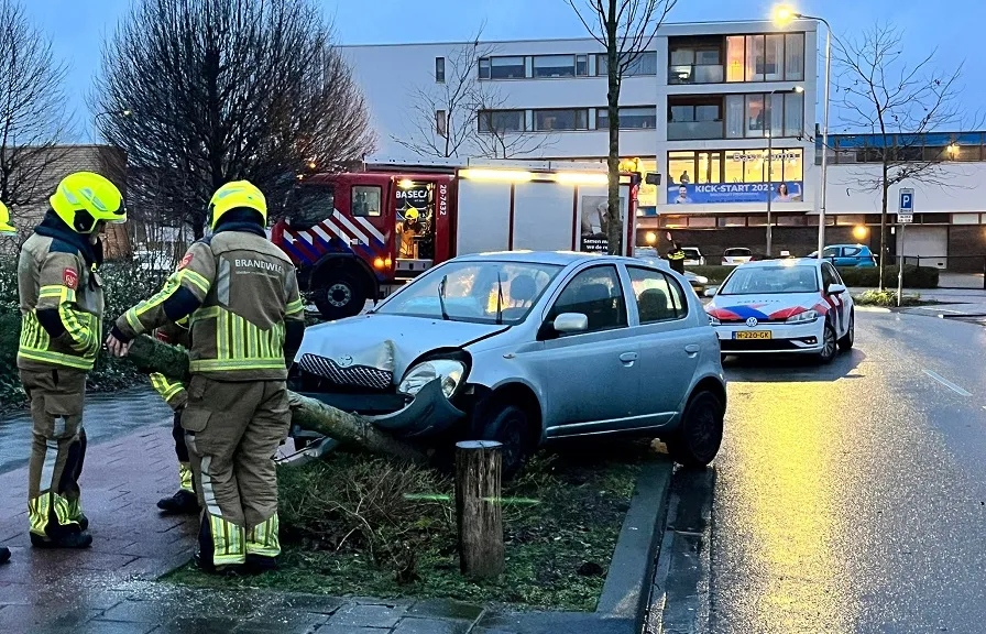 Automobilist verliest macht over stuur en ramt boom